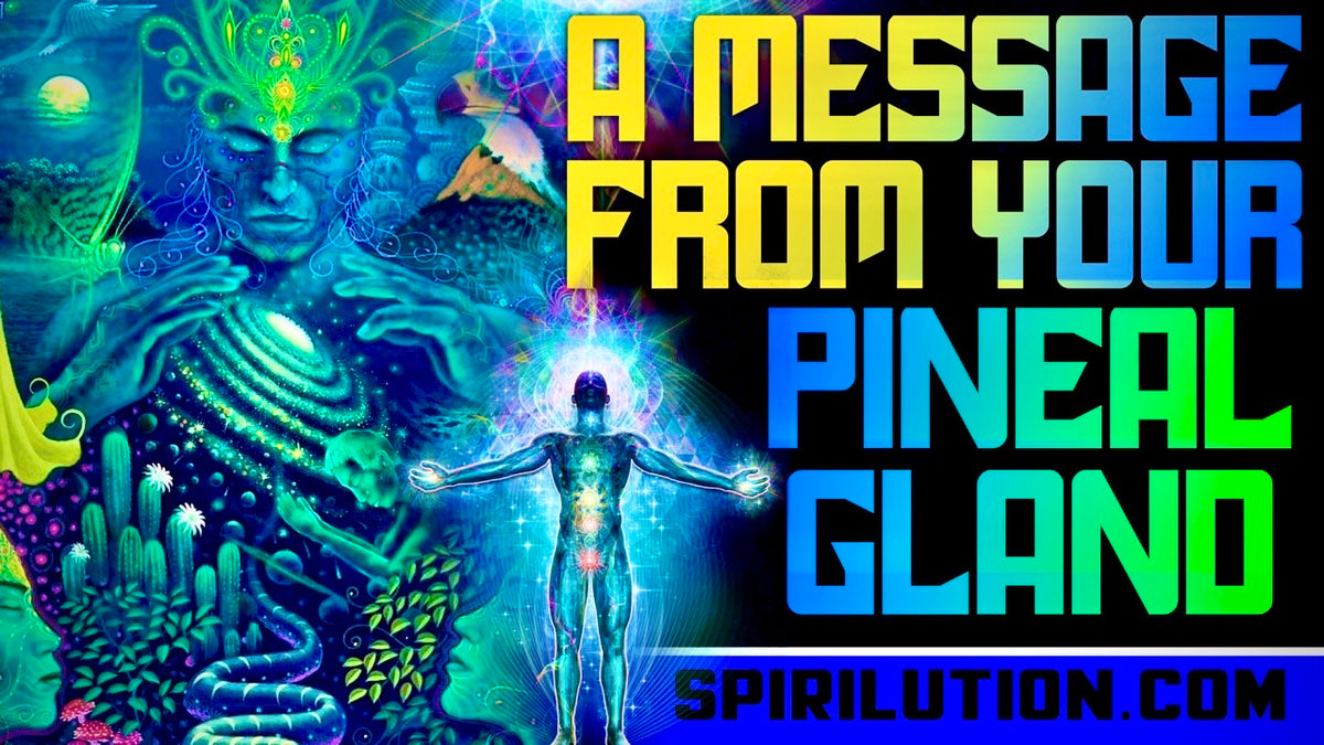 11 EVERYDAY THINGS HARMING AND CALCIFYING YOUR PINEAL GLAND! (THIRD EY – SPIRILUTION.COM
