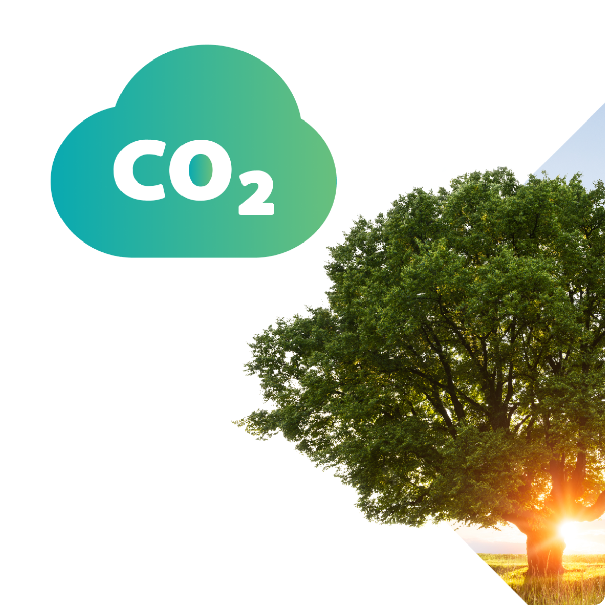 Earth Cart - Climate Friendly Shopping – SPIRILUTION.COM